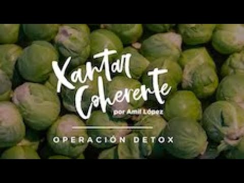 Videoblog de Amil López: Operación Detox - YouTube