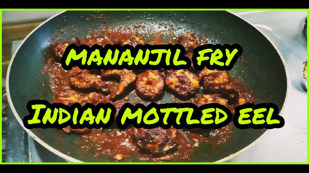 Mananjil fry | Indian Mottled eel fry|How to make mananjil fry| Tony's ...