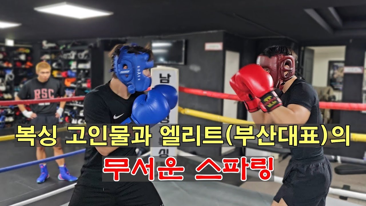 복싱 고인물과 복싱 엘리트부산 대표의 무서운 스파링 Boxing 권투 복싱 복싱스파링 스파링 유산소운동 맨몸운동 감량 챔피언 엘리트 고인물