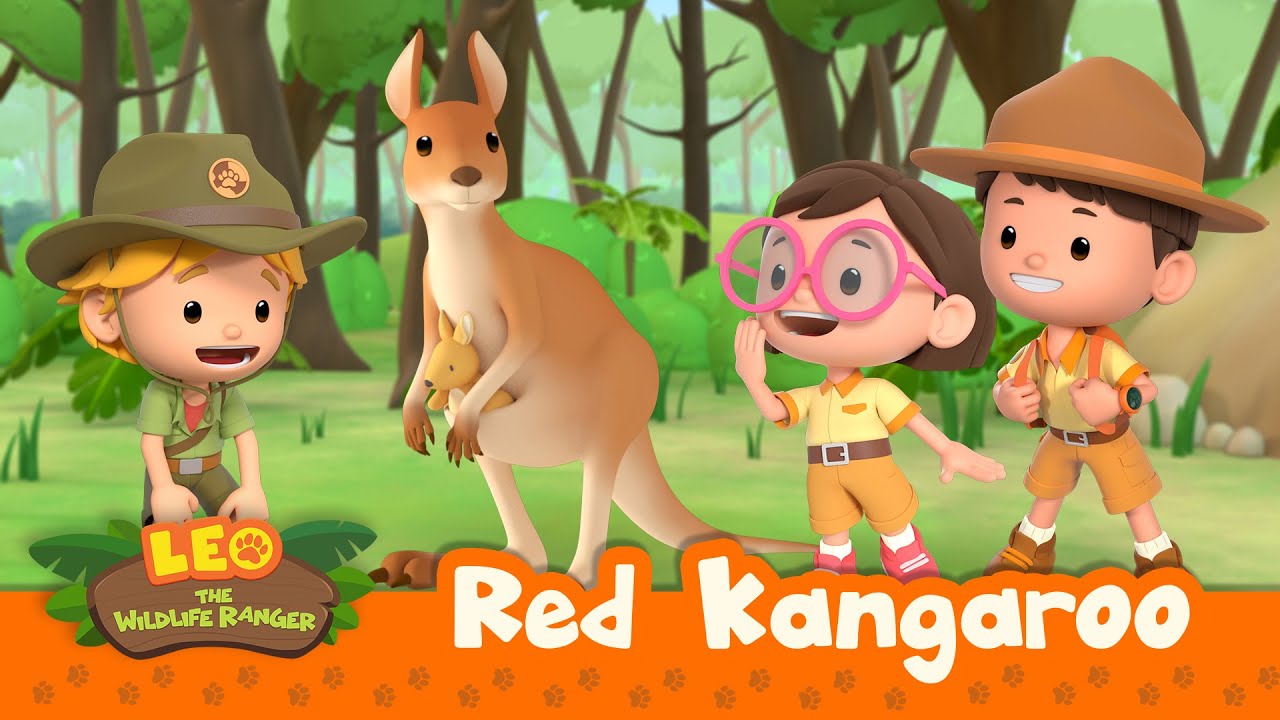 Red Kangaroo | Help the Lost Joey Get Home! | Leo the Wildlife Ranger ...