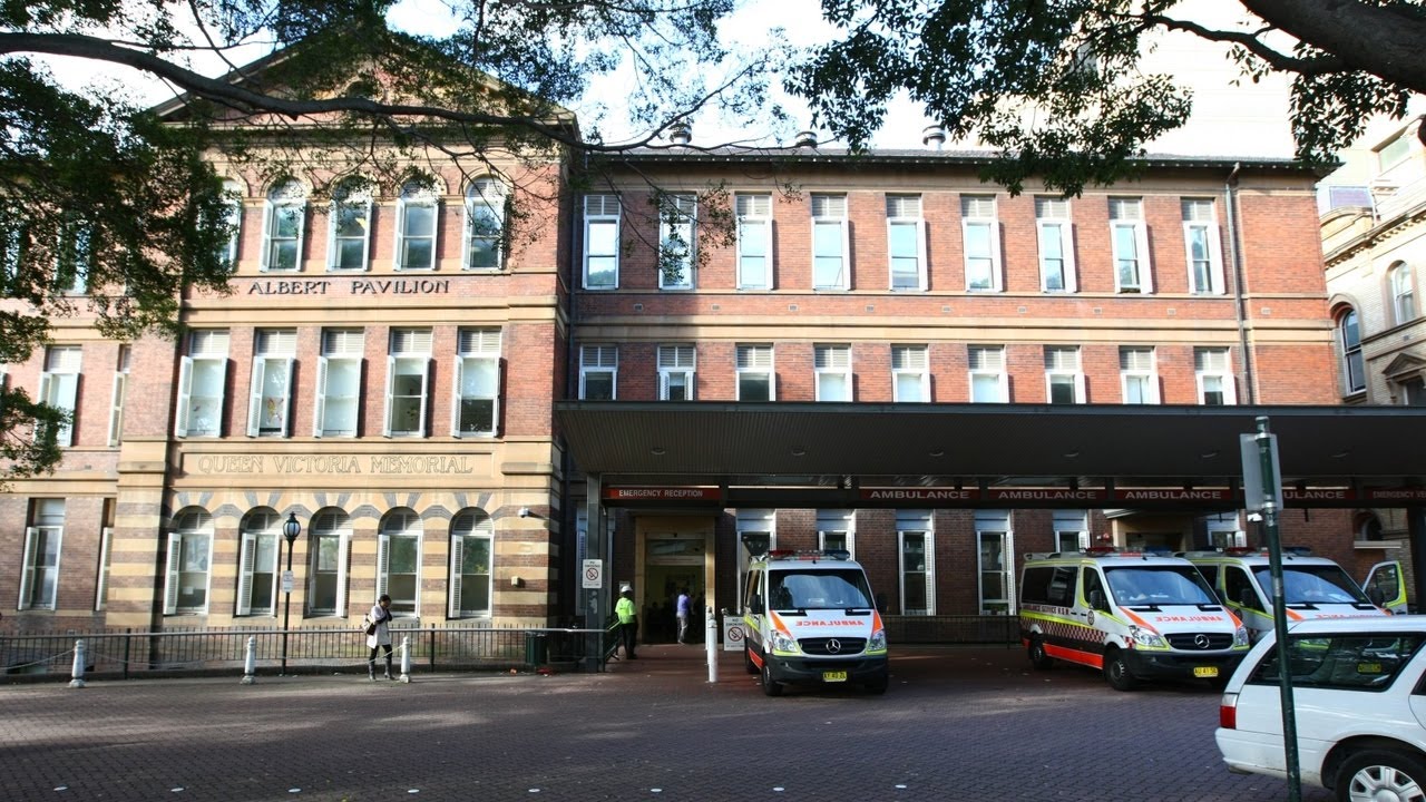 Baboons escape Sydney's RPA Hospital - YouTube