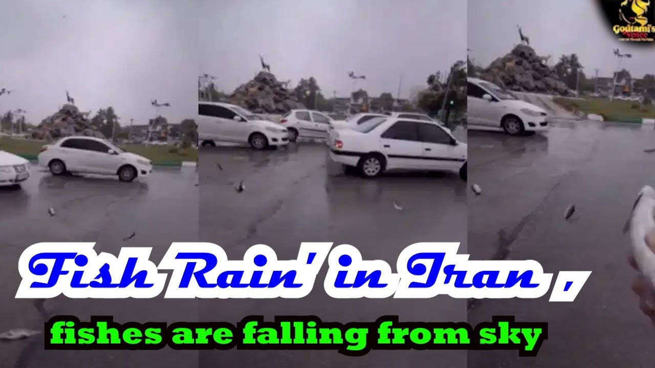 'Fish Rain' in Iran , fishes are falling from sky - YouTube