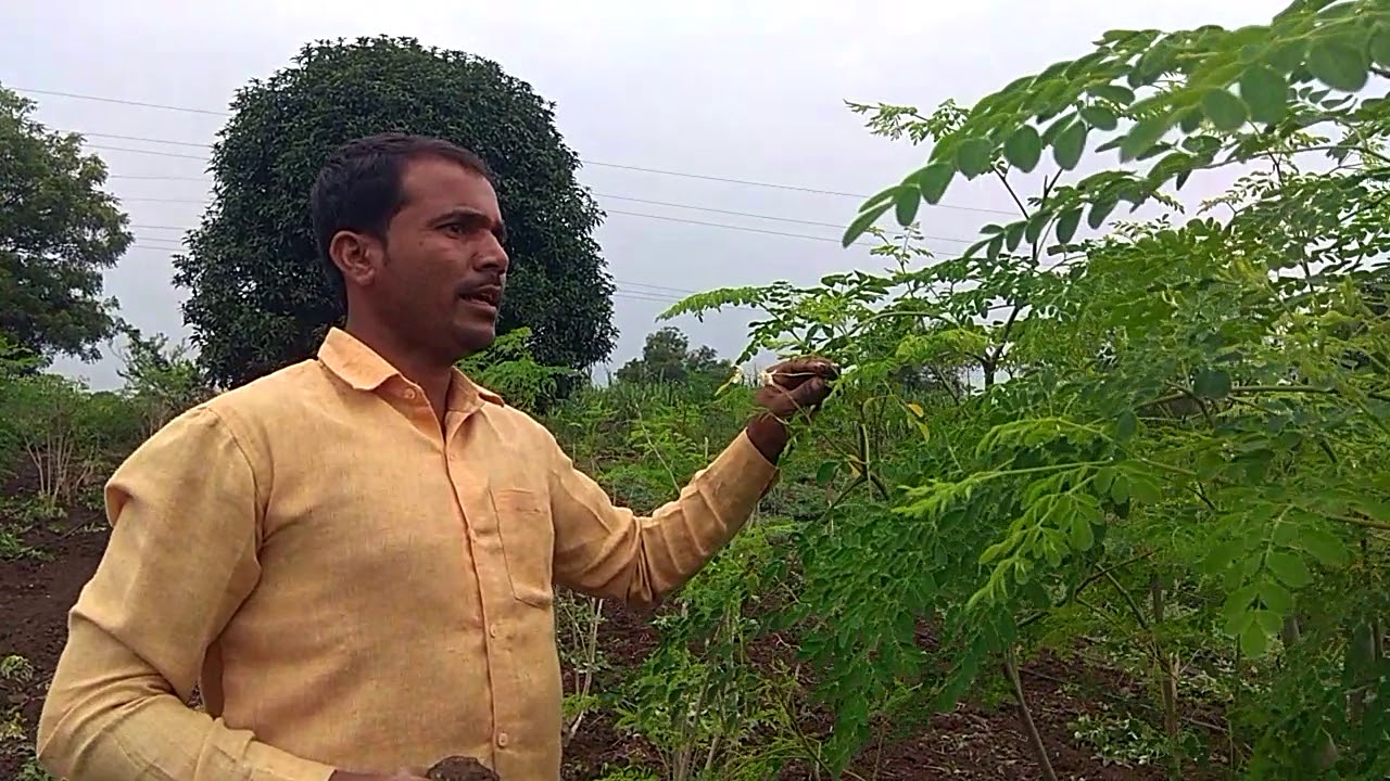 Sendriy sheti ek prayog - YouTube