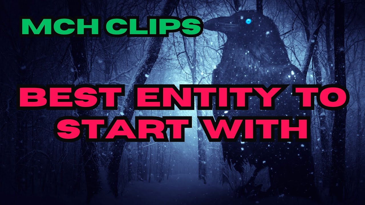 Best Entity To Start With - YouTube