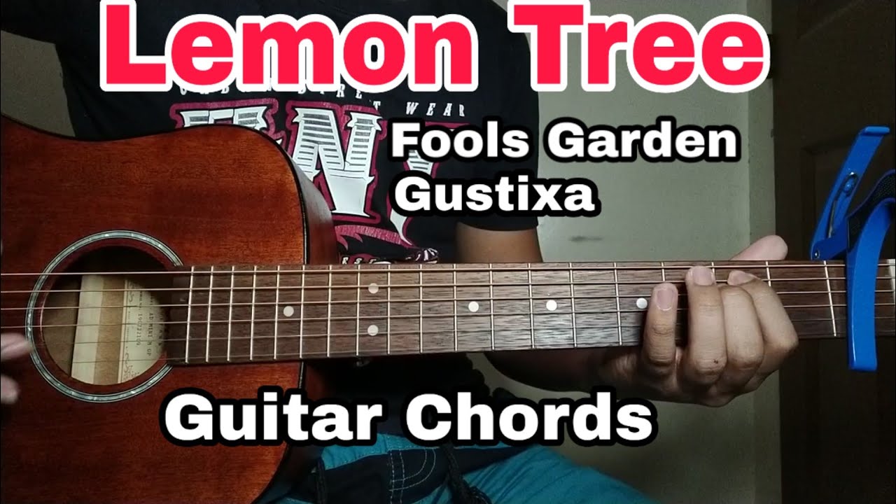 Lemon Tree - Guitar chords tutorial / Guitar cover plucking & Strumming ...