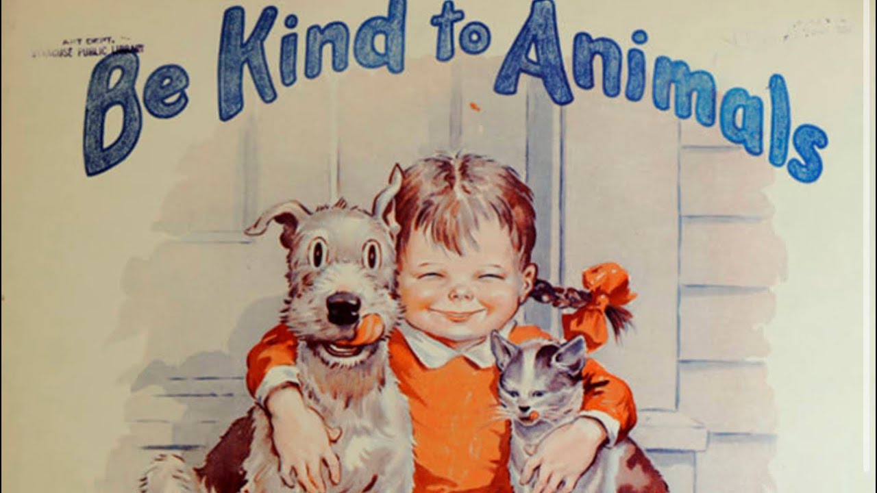 Be nice to animals !!! Warning-Offensive contents . - YouTube