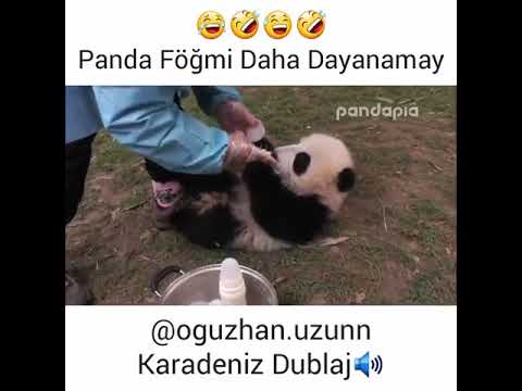 Mor Siçan Daha dayanamayrim halime Karadeniz Dublaj