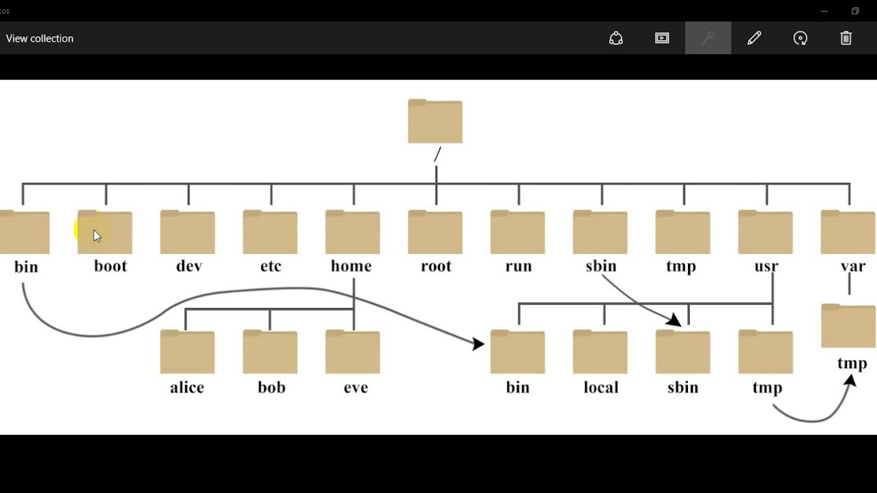 Linux File system hierarchy bangla explain - YouTube