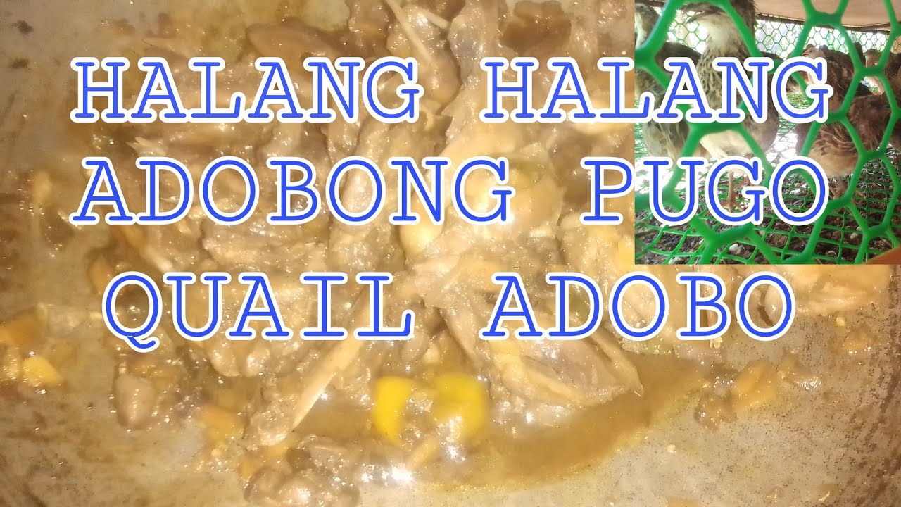 HALANG HALANG NA PUGO | ADOBO NA PUGO | HOW TO COOK QUAIL | HAMONADA ...