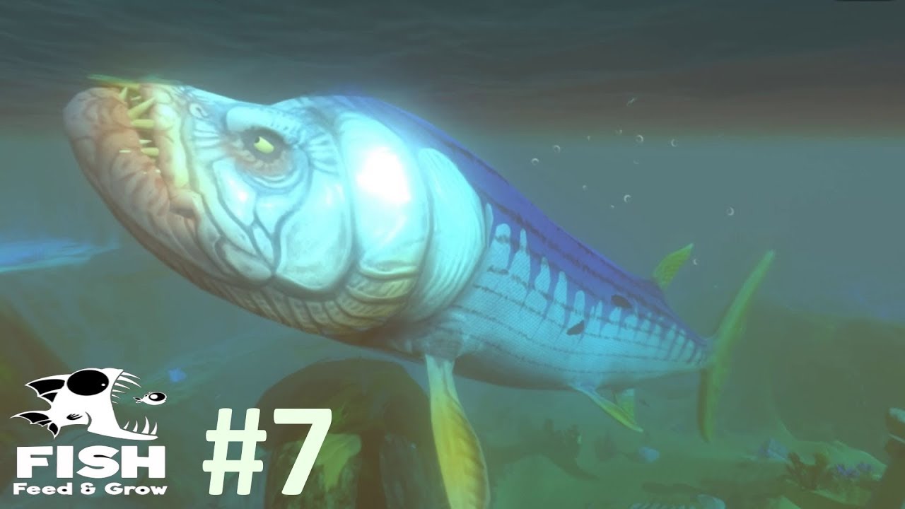 Feed & Grow: Fish [gameplay german] #7 - Unbesiegbar und verletzlich ...