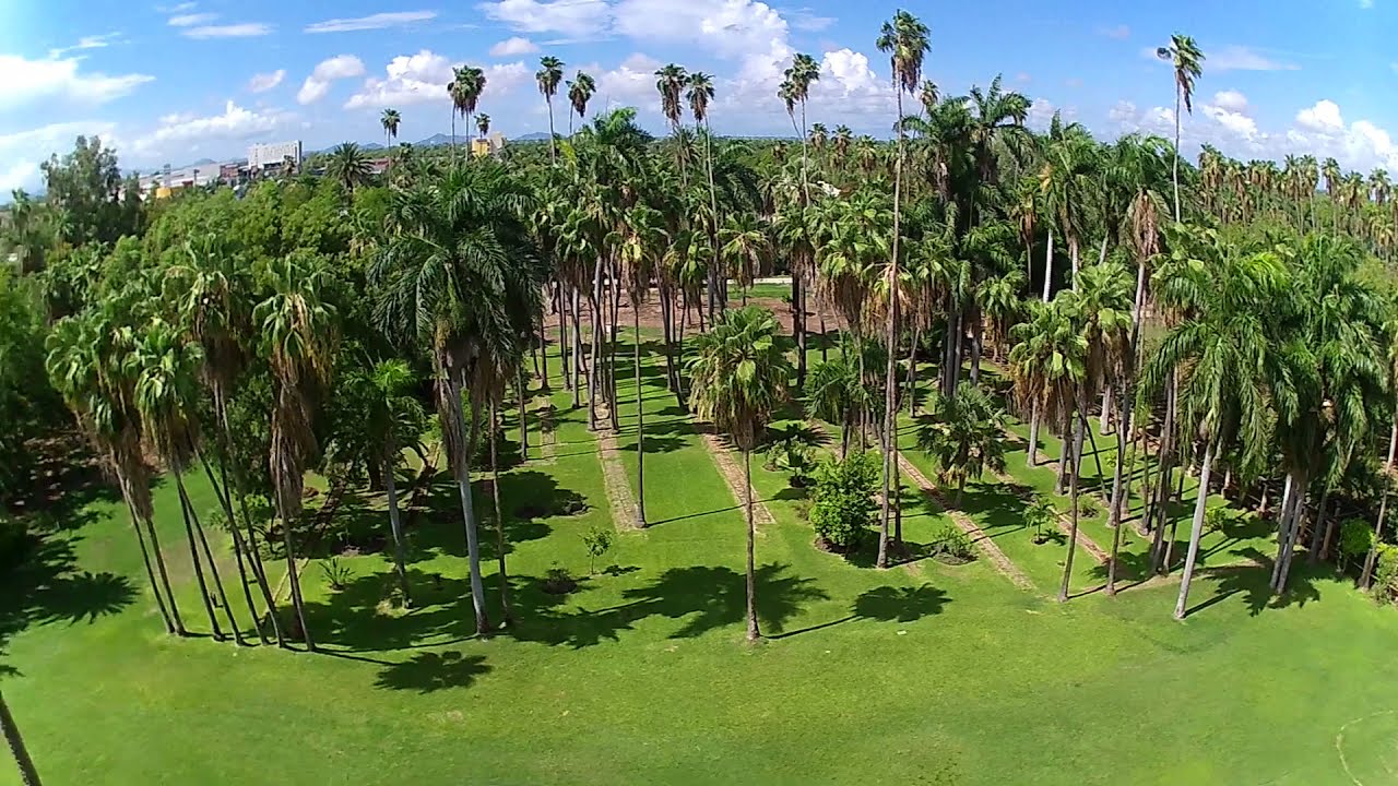 Parque Sinaloa de Los mochis - YouTube