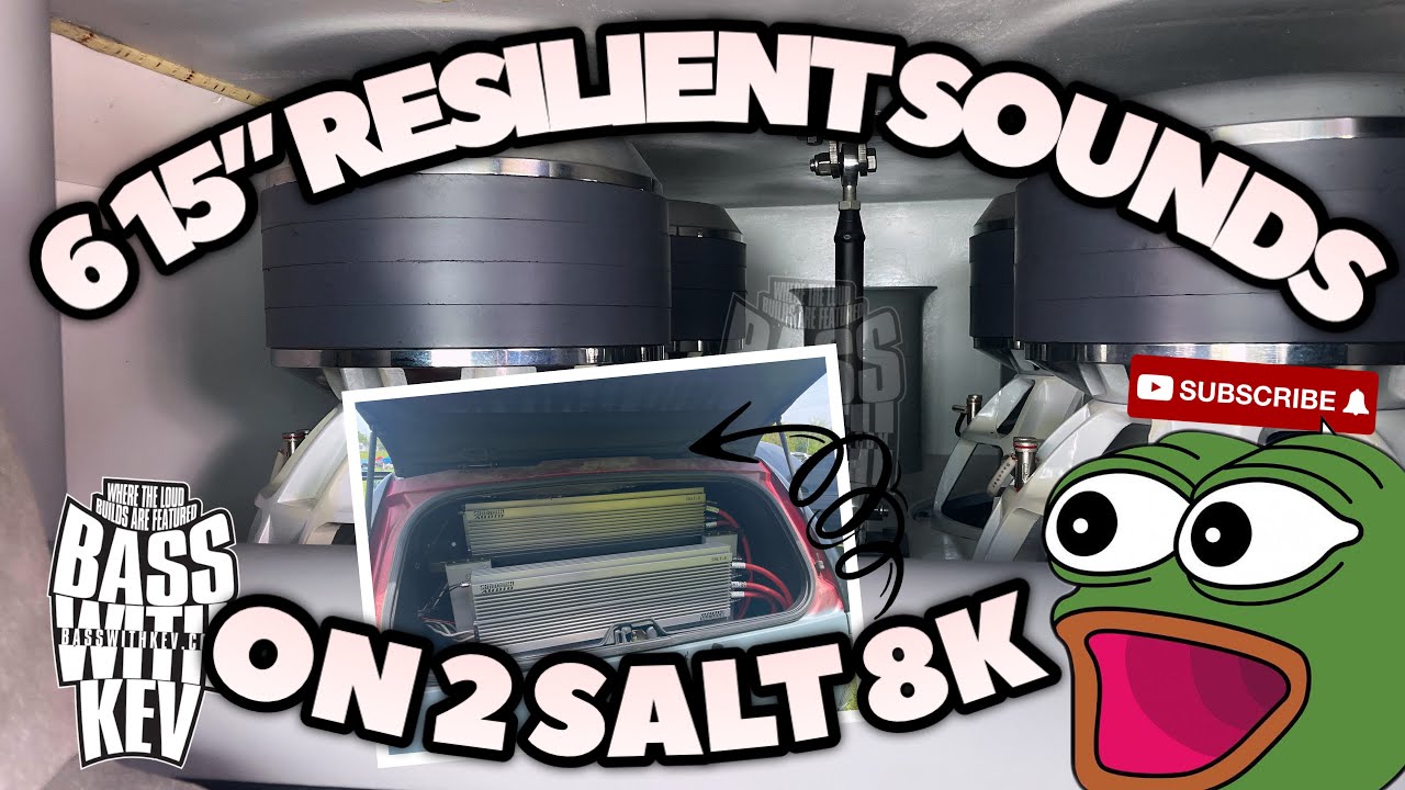 6 RESILIENT SOUNDS 15 INCH SUBWOOFERS GET LOUD TEAM HIGH VOLTAGE SHOW ...