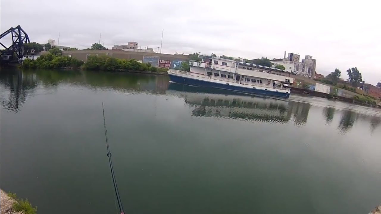 introducing MRS BUFFALO - YouTube