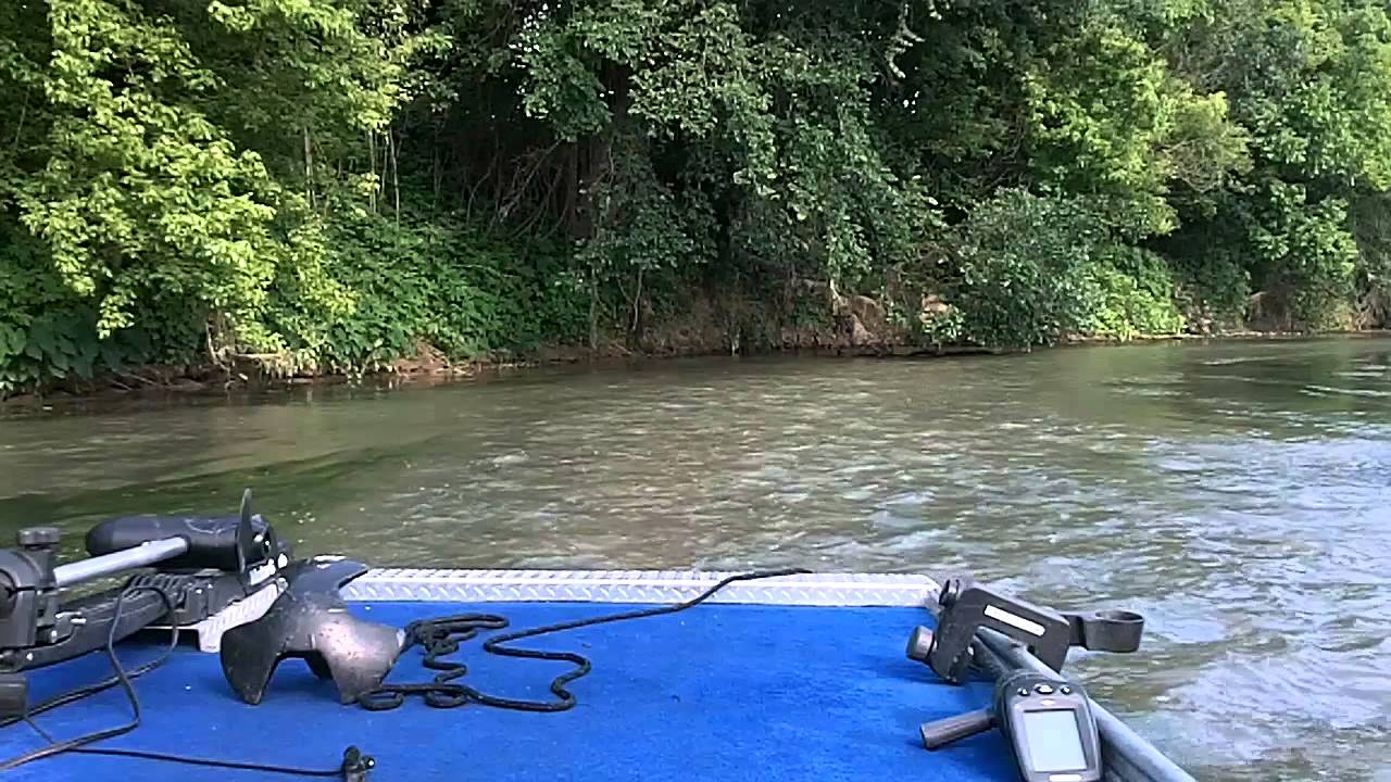 Jet foot meets hydrilla at the wrong time - YouTube