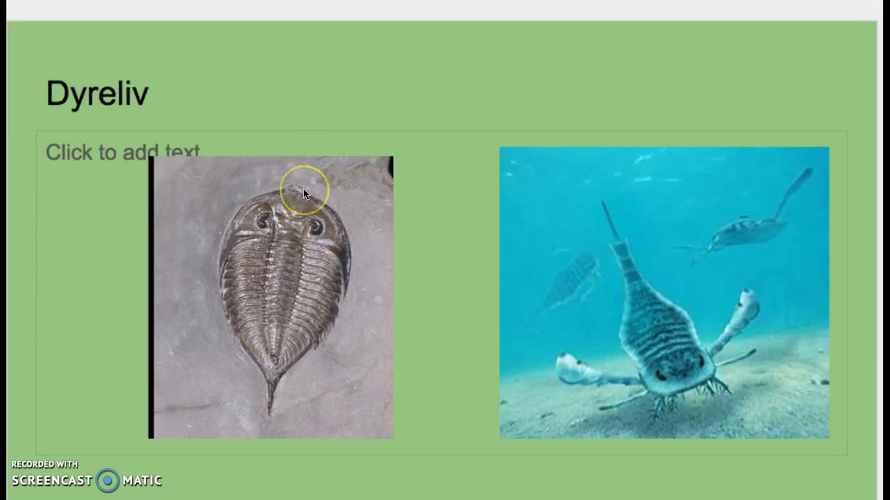 silur tiden - YouTube