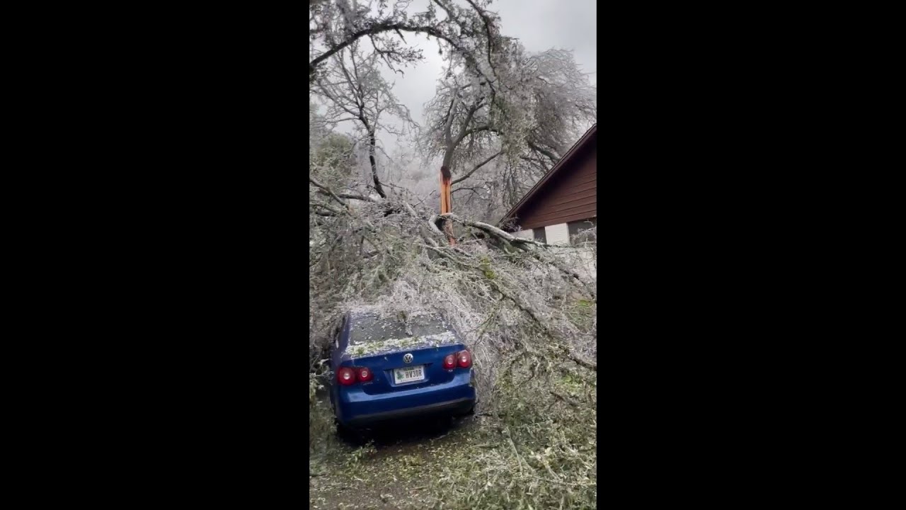 Tree falls on vehicle as winter storm sweeps Austin - YouTube