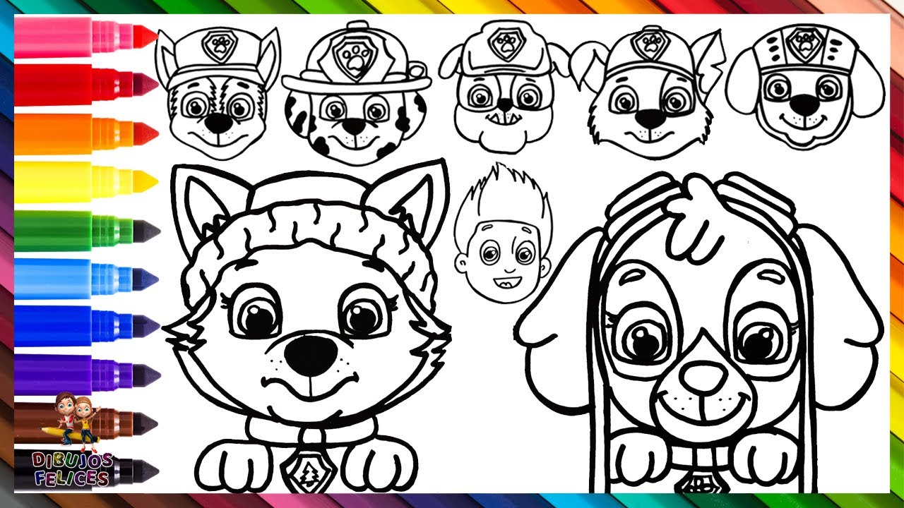 Dibuja y Colorea A Las Personajes de La Patrulla Canina (PAW PATROL) 🐾🐶 ...