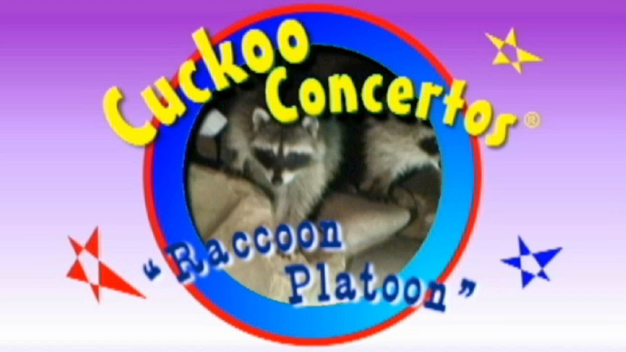 Raccoon Platoon | Cuckoo Concertos - YouTube