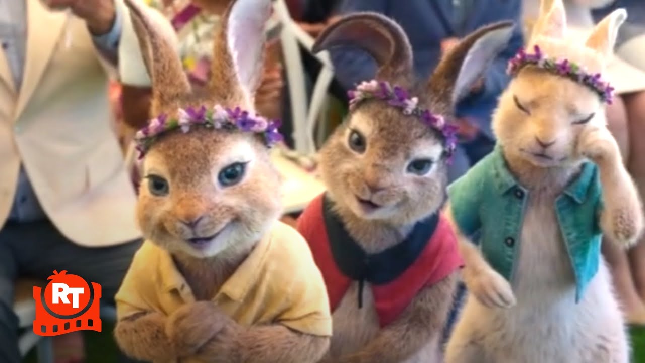 Peter Rabbit 2: The Runaway - The Wedding Fight Scene - YouTube