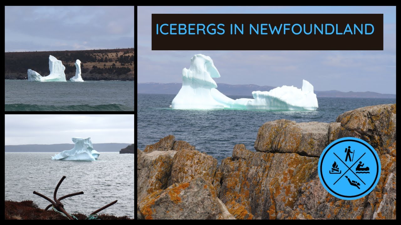 Icebergs in Newfoundland #dickieberg - YouTube