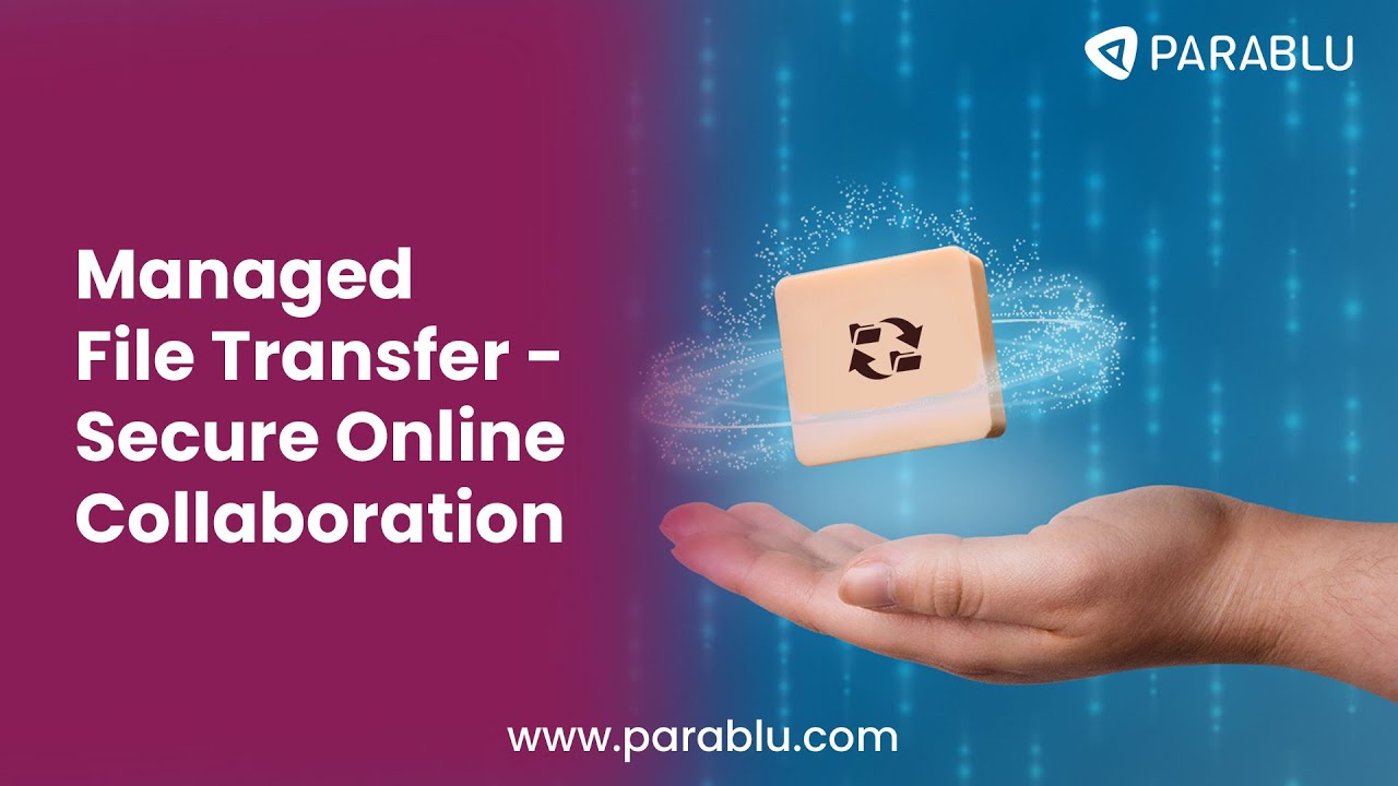 Transform teamwork with BluSync™: Secure your online file transfer ...