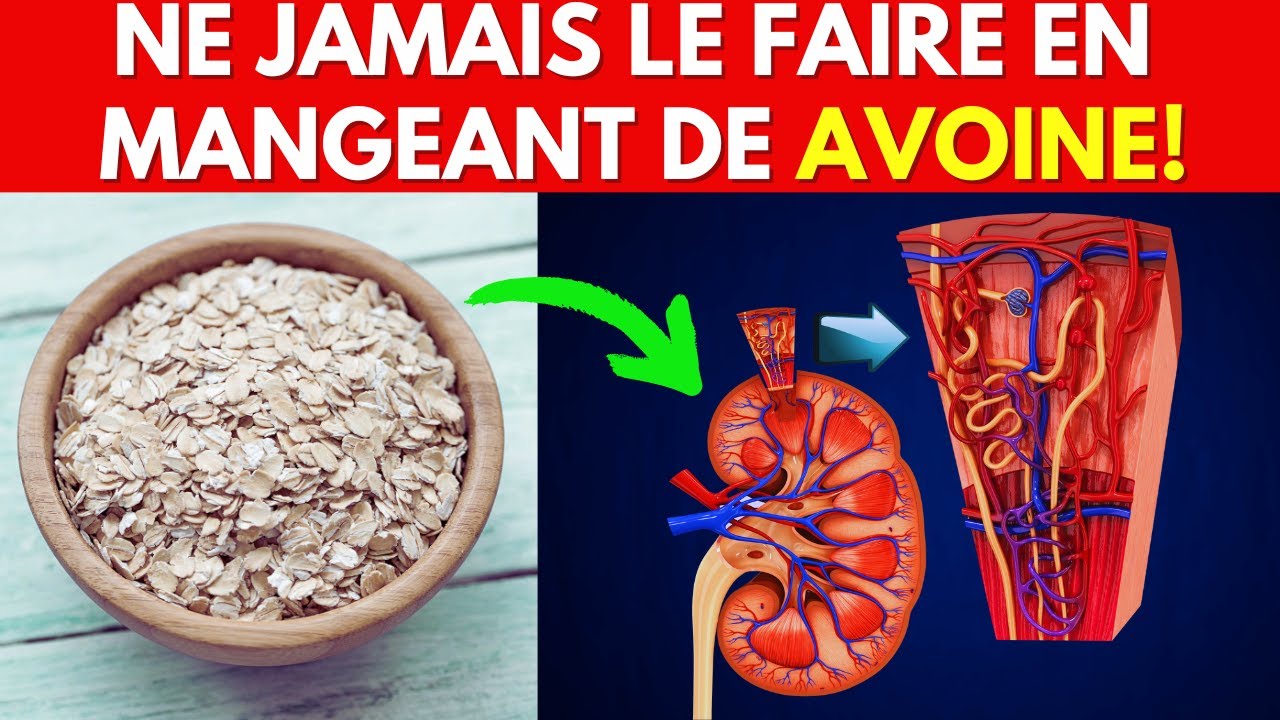 NE JAMAIS COMMETTRE CES 10 ERREURS EN MANGEANT DE L'AVOINE | PLUS DE ...
