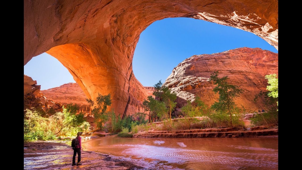 The Vital Role of National Parks in Global Conservation Efforts (5 ...