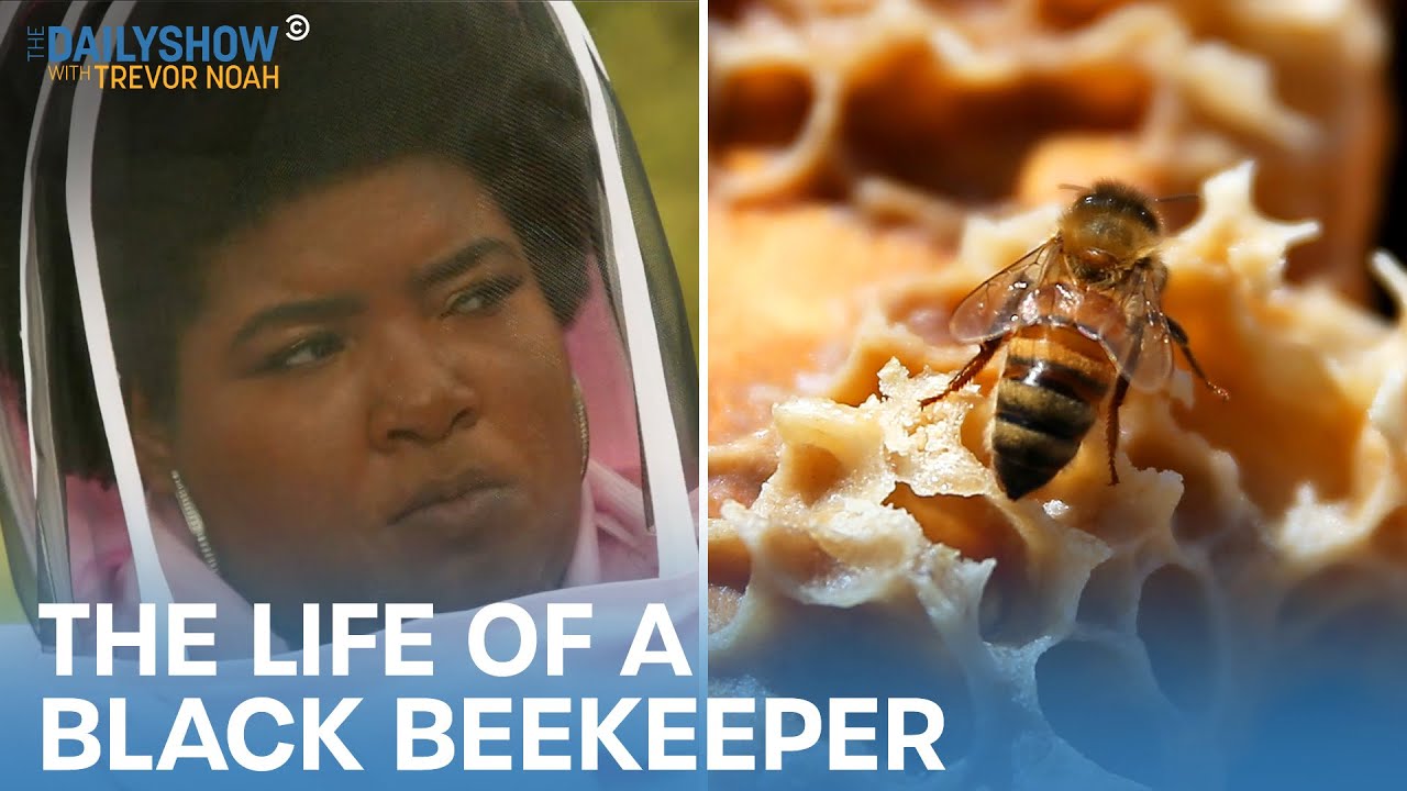 The Life of a Black Beekeeper - Black Monomyth | The Daily Show - YouTube