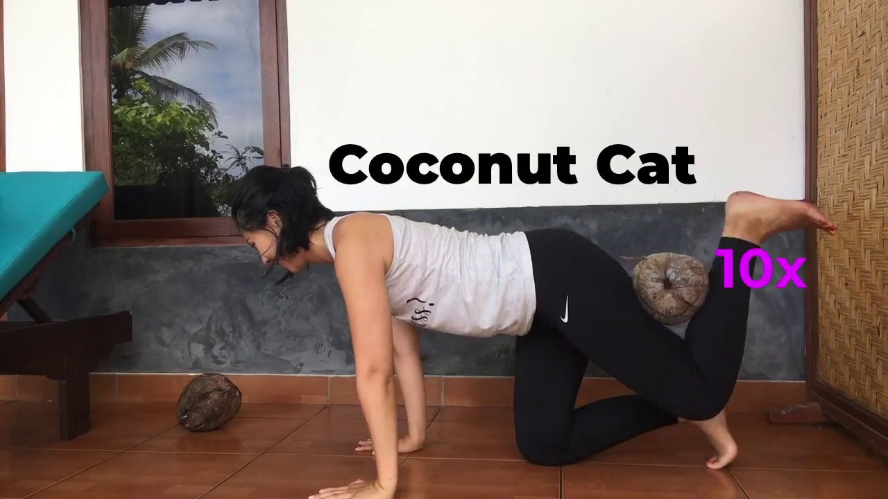 Coconut Yoga for Beginners - YouTube