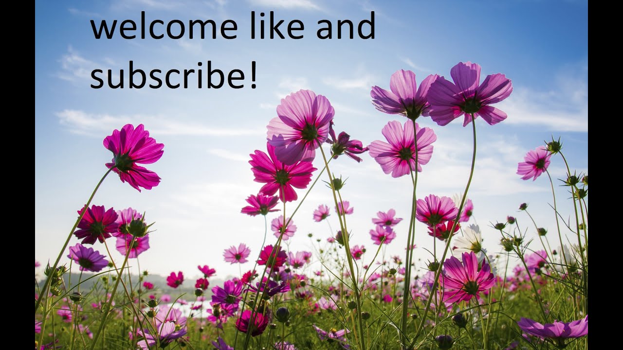 Awesome Addy Channel Trailer - YouTube