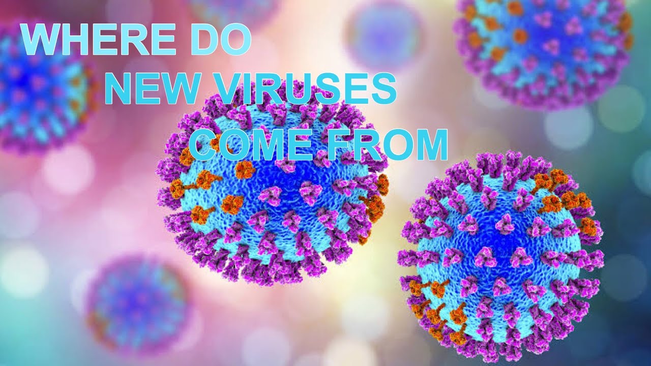 Where do new viruses come from - YouTube