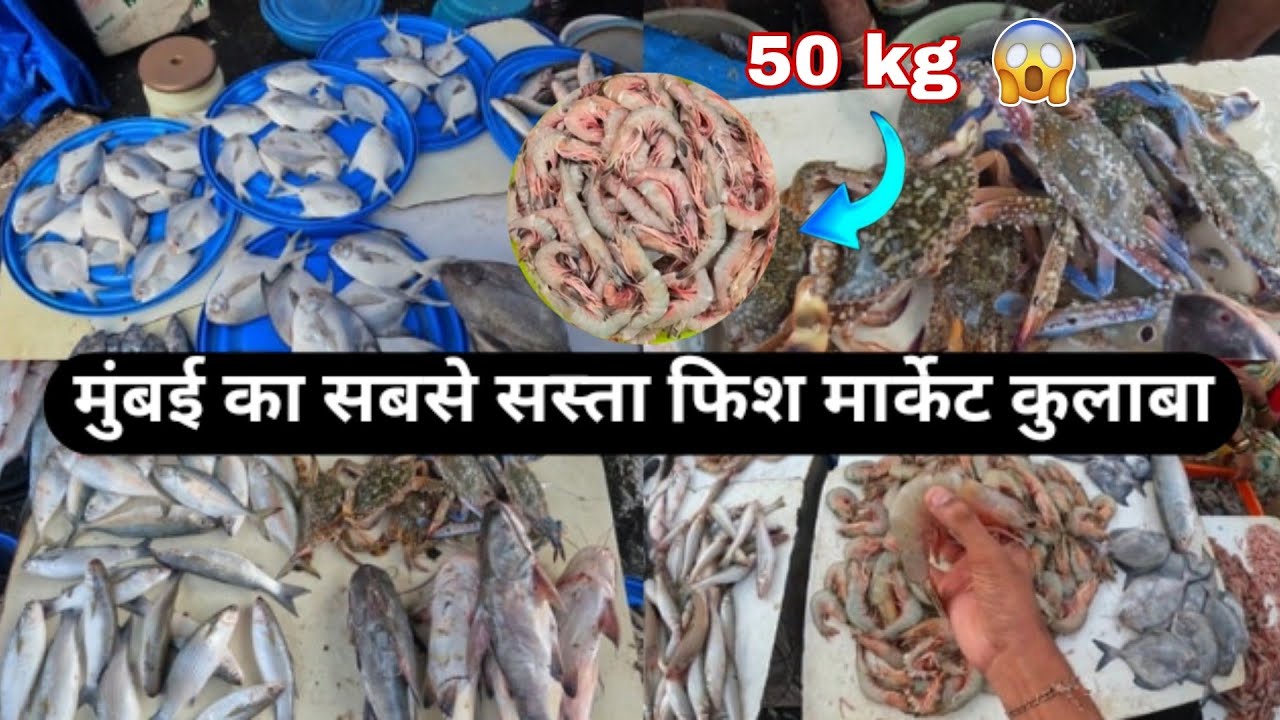 Colaba Sassoon Dock Fish Market / Colaba Wholesale Fish Market / सस्ता ...