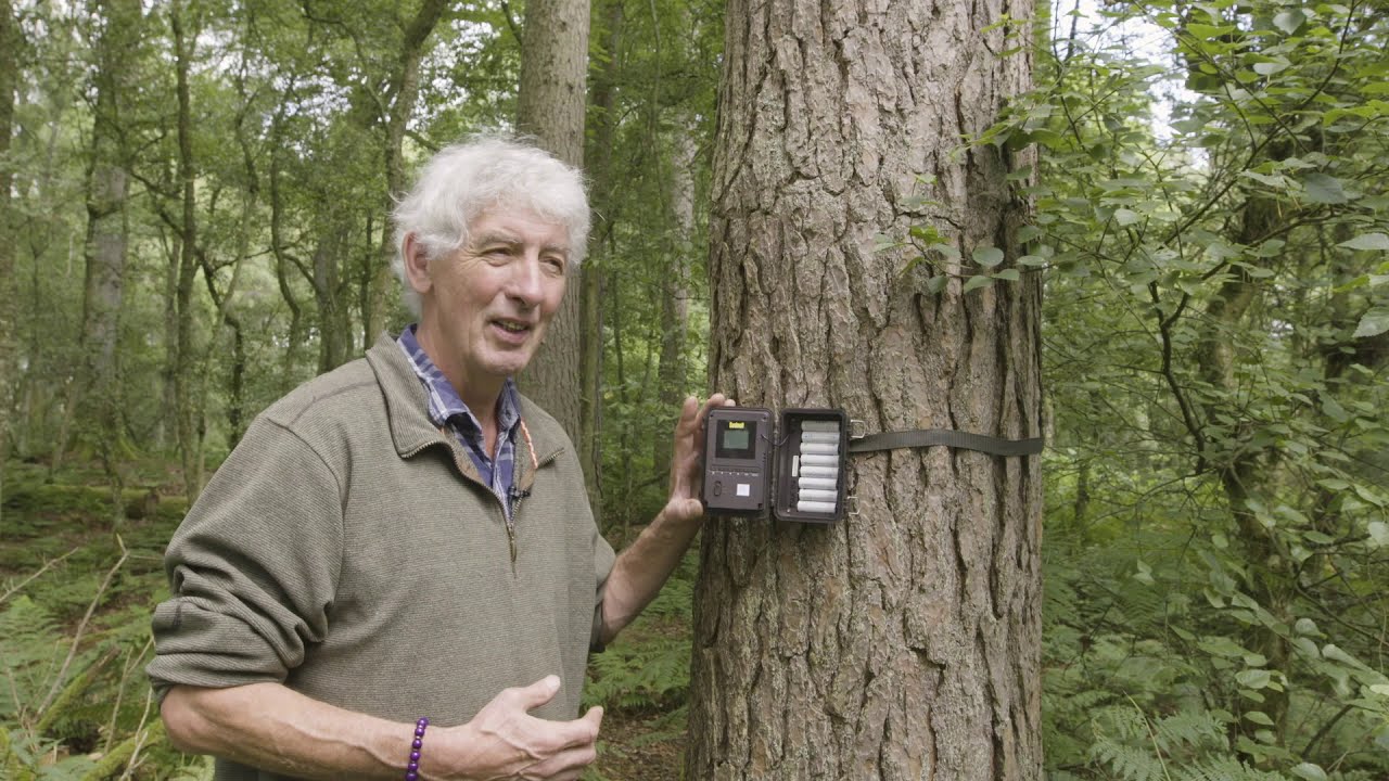 Introduction to Squirrels 3: Monitoring Squirrels - YouTube