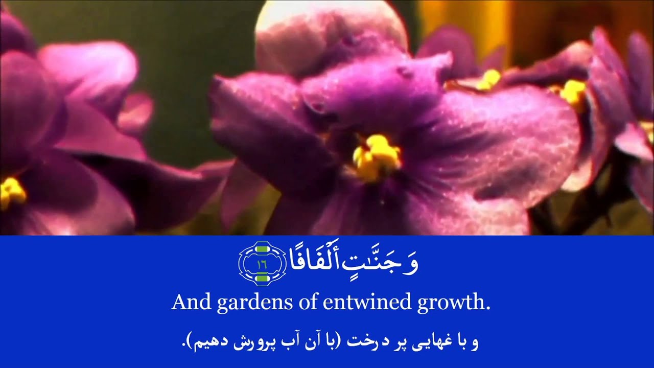 Surah An Naba-Sheikh Mishary Rashid AlAfasy-1080p HD - YouTube