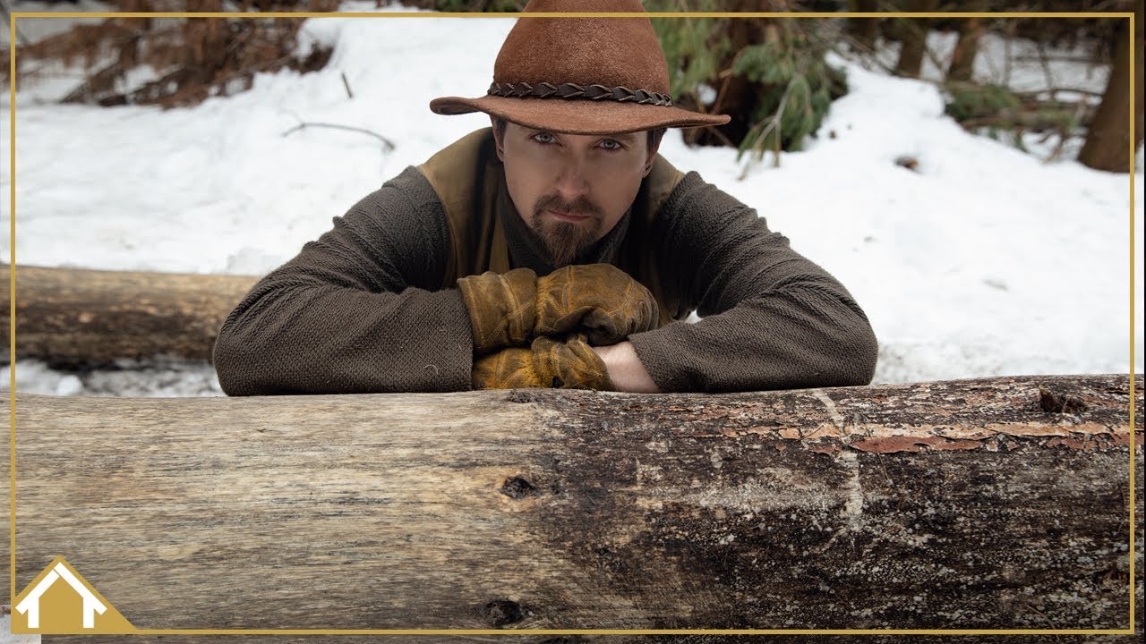 How To Clean Mold Off Log Cabin? | Cleanestor