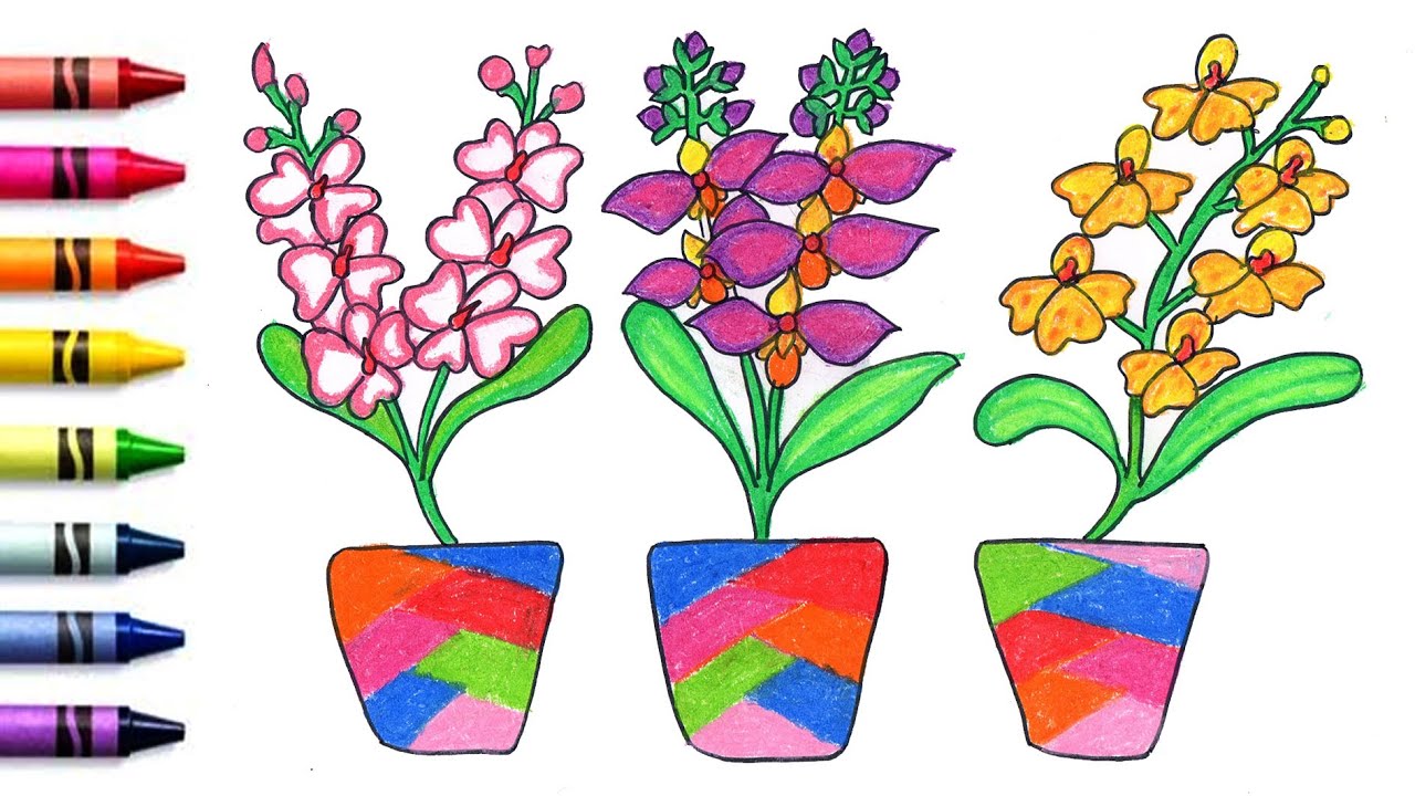 Menggambar dan mewarnai Bunga Anggrek - YouTube