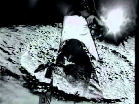 KURORT - Alligator