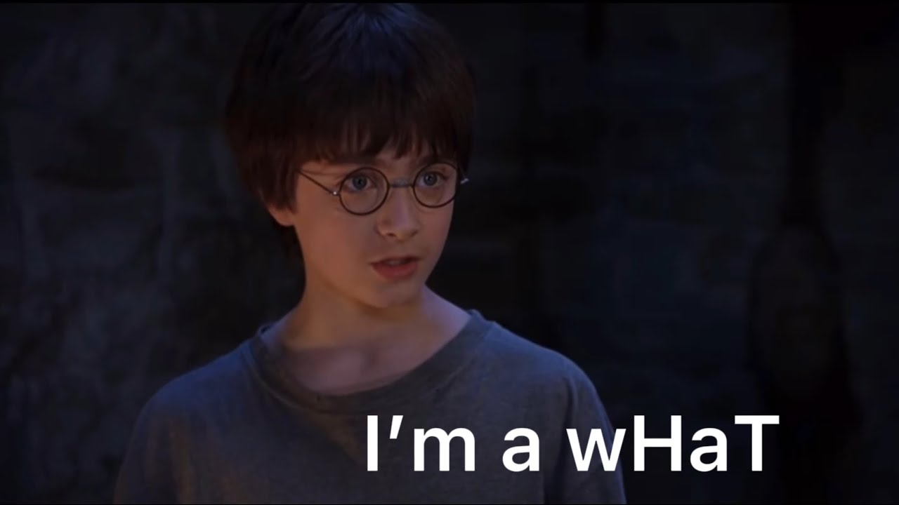 Your a lizard hArRy - YouTube