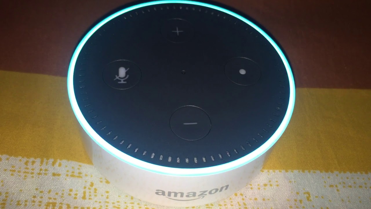 How to Use the wikiHow Skill on Amazon Alexa - YouTube