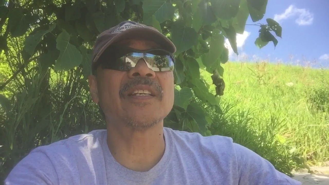 The Great Legendary Philippine Senator Manny Pacquiao, why we are proud ...