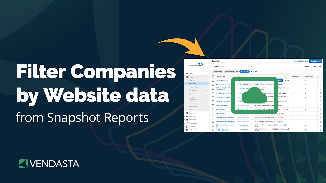 Filter Companies by Website data from Snapshot Reports - YouTube
