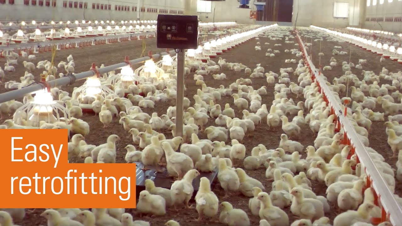 EasyCheck | Mobile bird scale with smart functions for data analysis ...