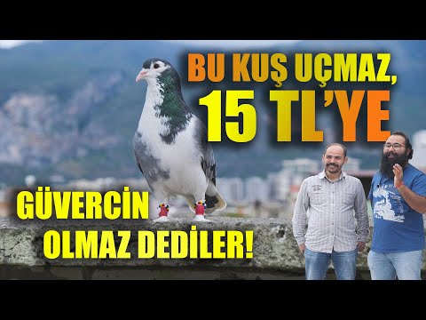 UÇMAZ DEDİKLERİ GÜVERCİNİ UÇURDUK: İSKENDERUN