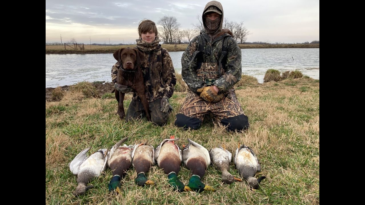 Duck hunting a loaf cattle pond. - YouTube