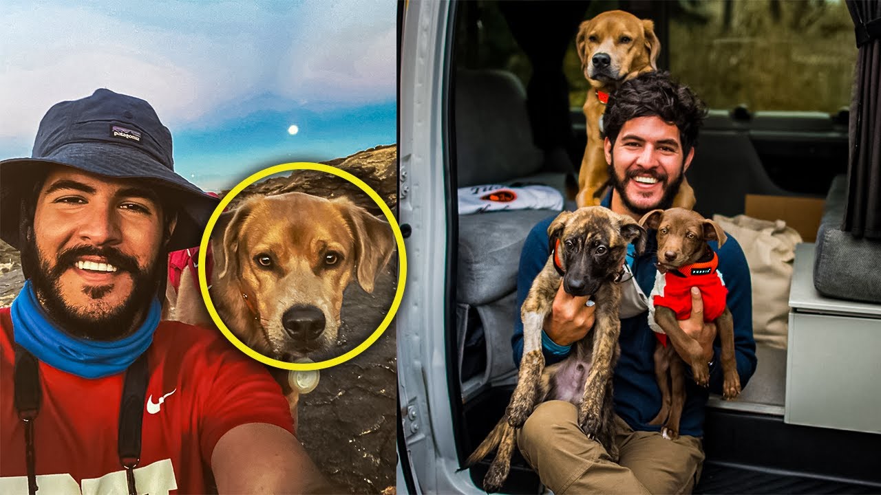 Dog's Cross Country Trip to a New Home Turns Into a Lifelong Adventure ...
