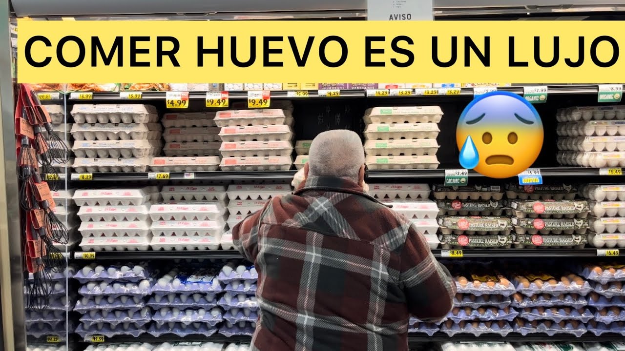 ¿Por qué ha subido tanto el PRECIO de los HUEVOS en tiendas de ...