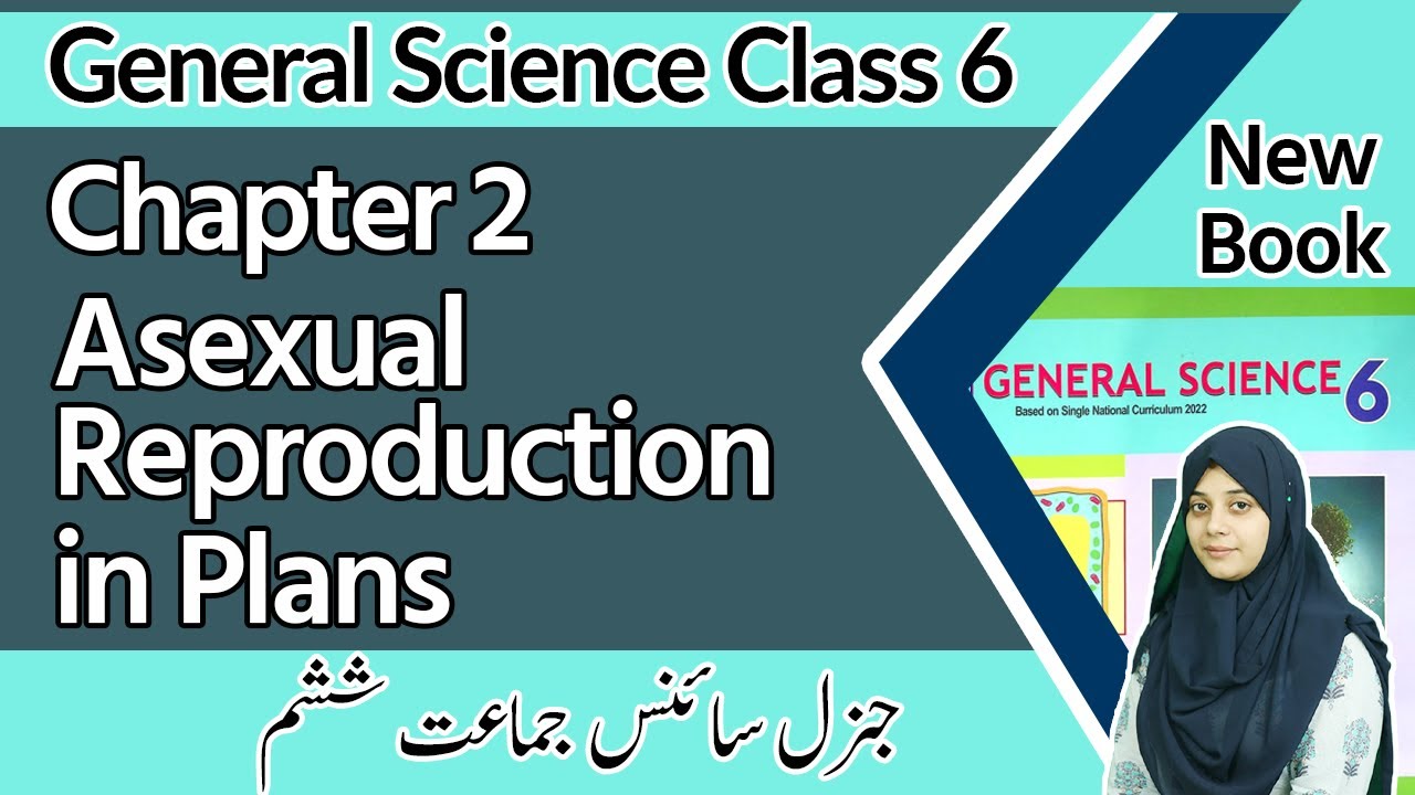 Class 6 Science Chapter 2 - Asexual Reproduction in Plants - 6th Class ...