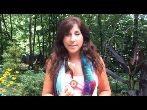Sundara Fawn - Present Moment - YouTube