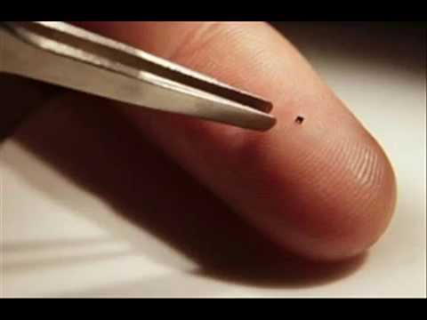 Pinhead Sized Bible Goes On show in Jerusalem - YouTube