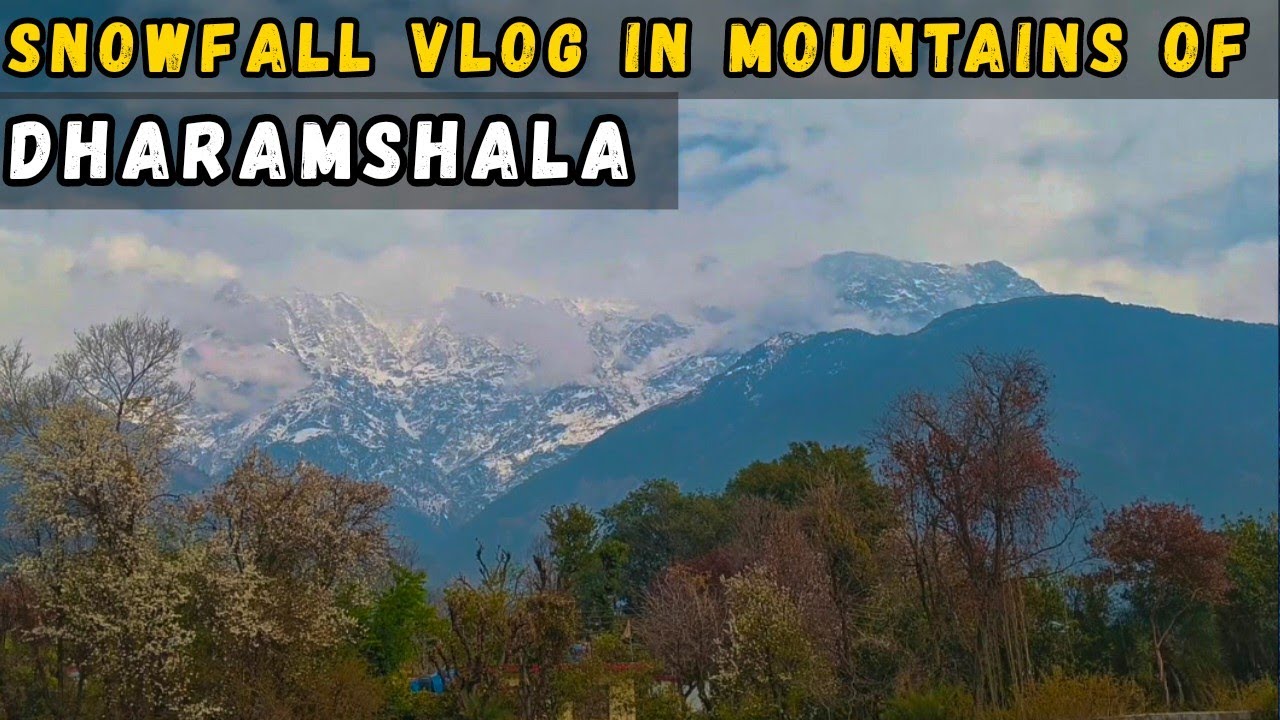 SNOWFALL IN MOUNTAINS OF DHARAMSHALA HIMACHAL PRADESH | MOUNTAIN VLOGS ...